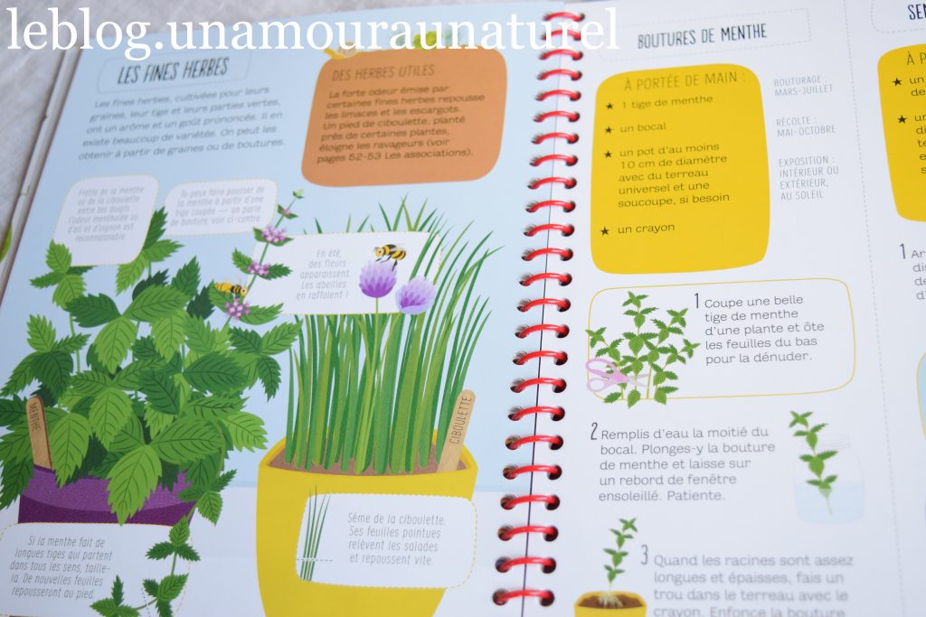 Jardinage avec les enfants : apprentissages et autonomie – Le Blog un ...