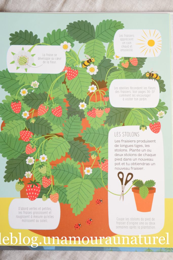 Jardinage avec les enfants : apprentissages et autonomie – Le Blog un ...