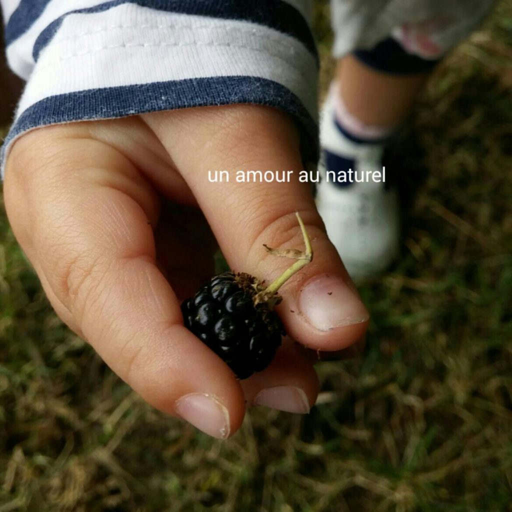 Bac sensoriel automne 2016 – Le Blog un Amour au Naturel