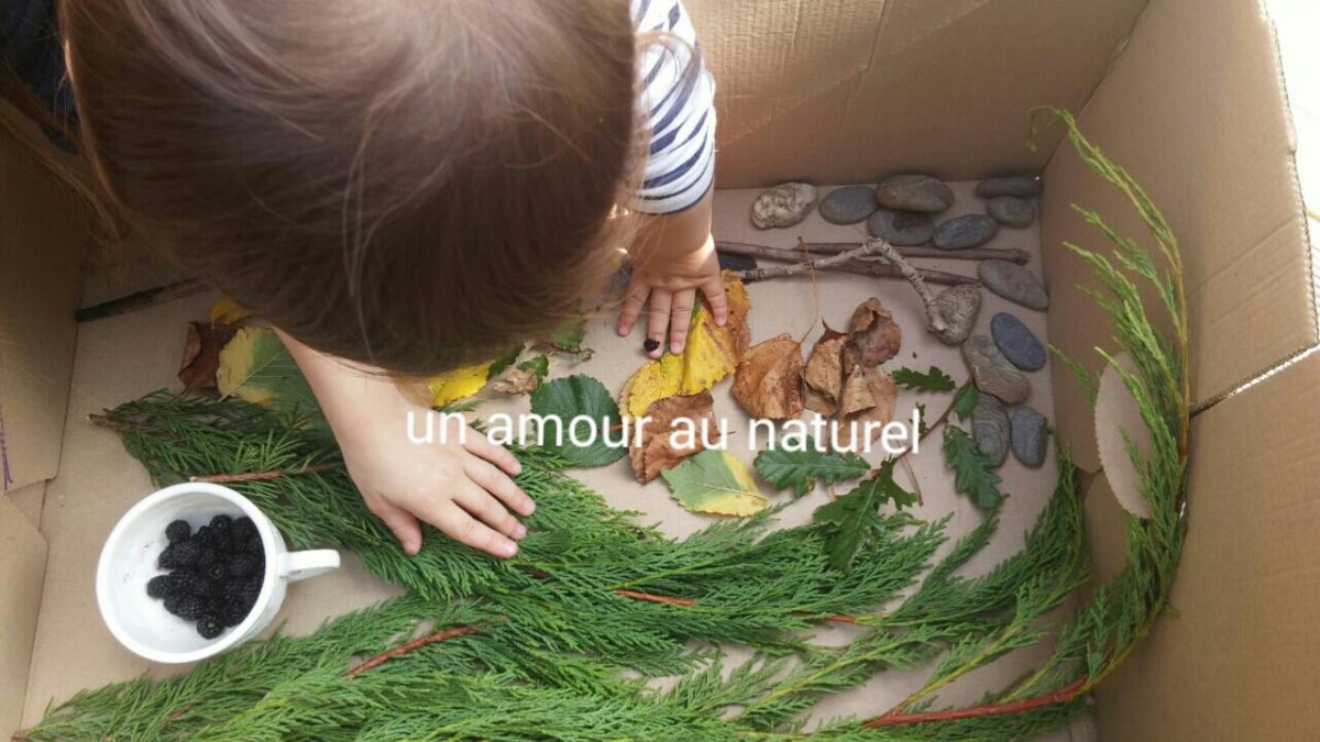 Bac sensoriel automne 2016 – Le Blog un Amour au Naturel