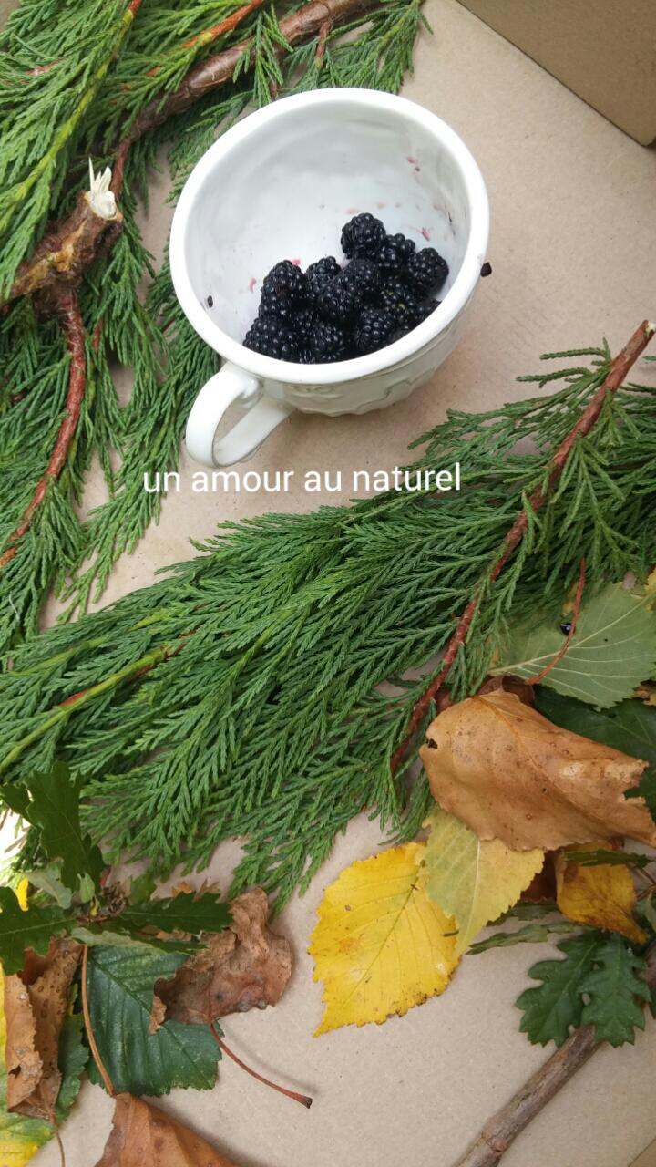 Bac sensoriel automne 2016 – Le Blog un Amour au Naturel