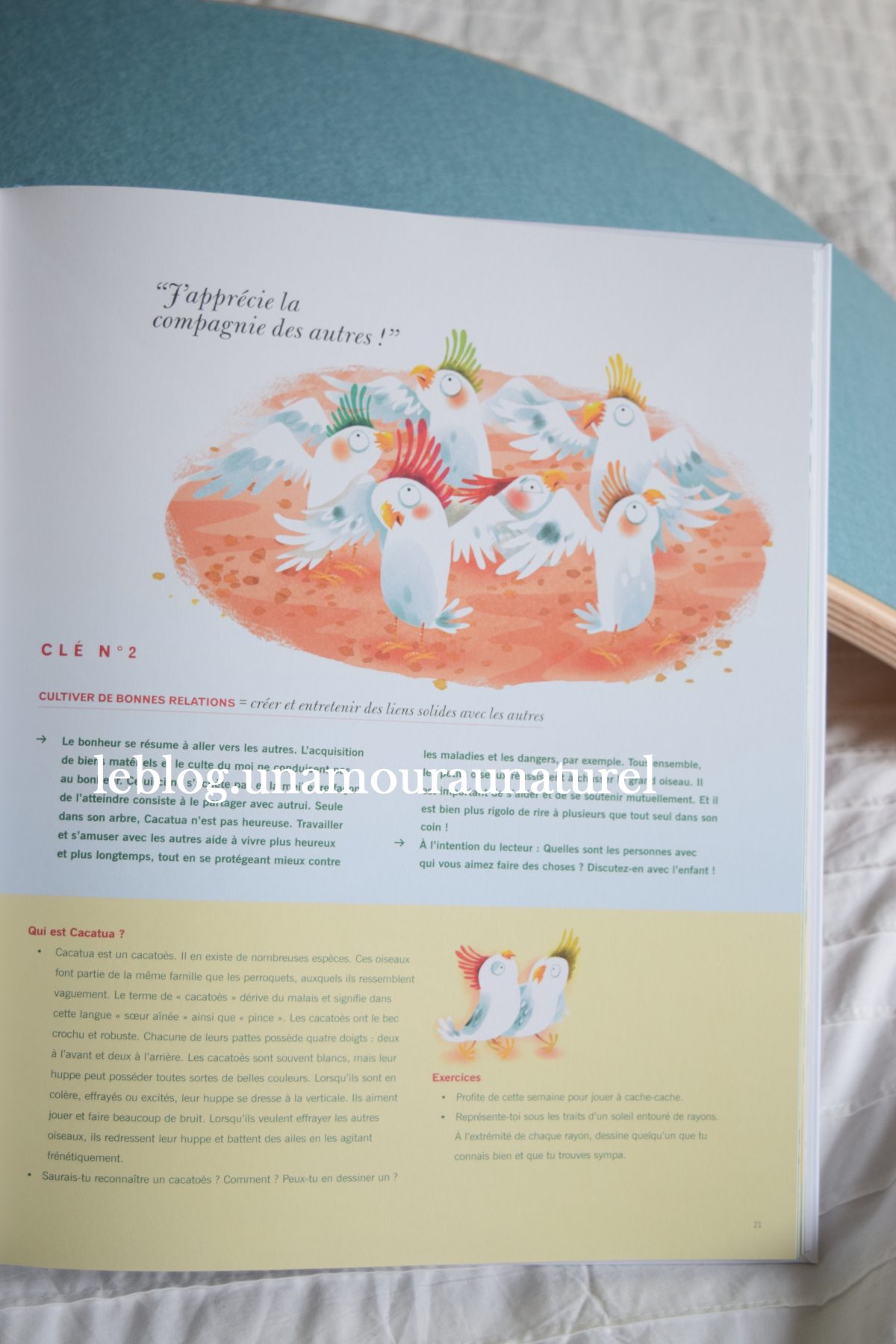 Le grand livre du bonheur pour les enfants – Le Blog un Amour au Naturel