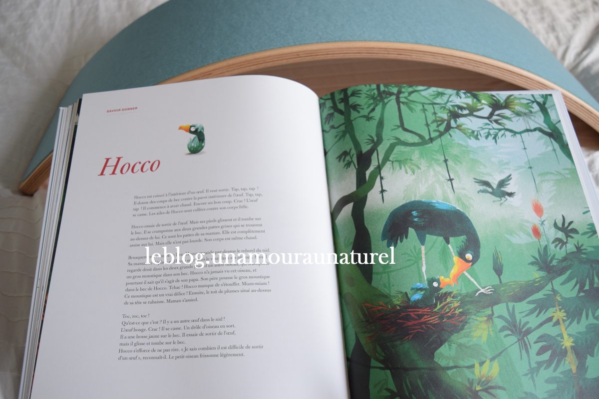 Le grand livre du bonheur pour les enfants – Le Blog un Amour au Naturel