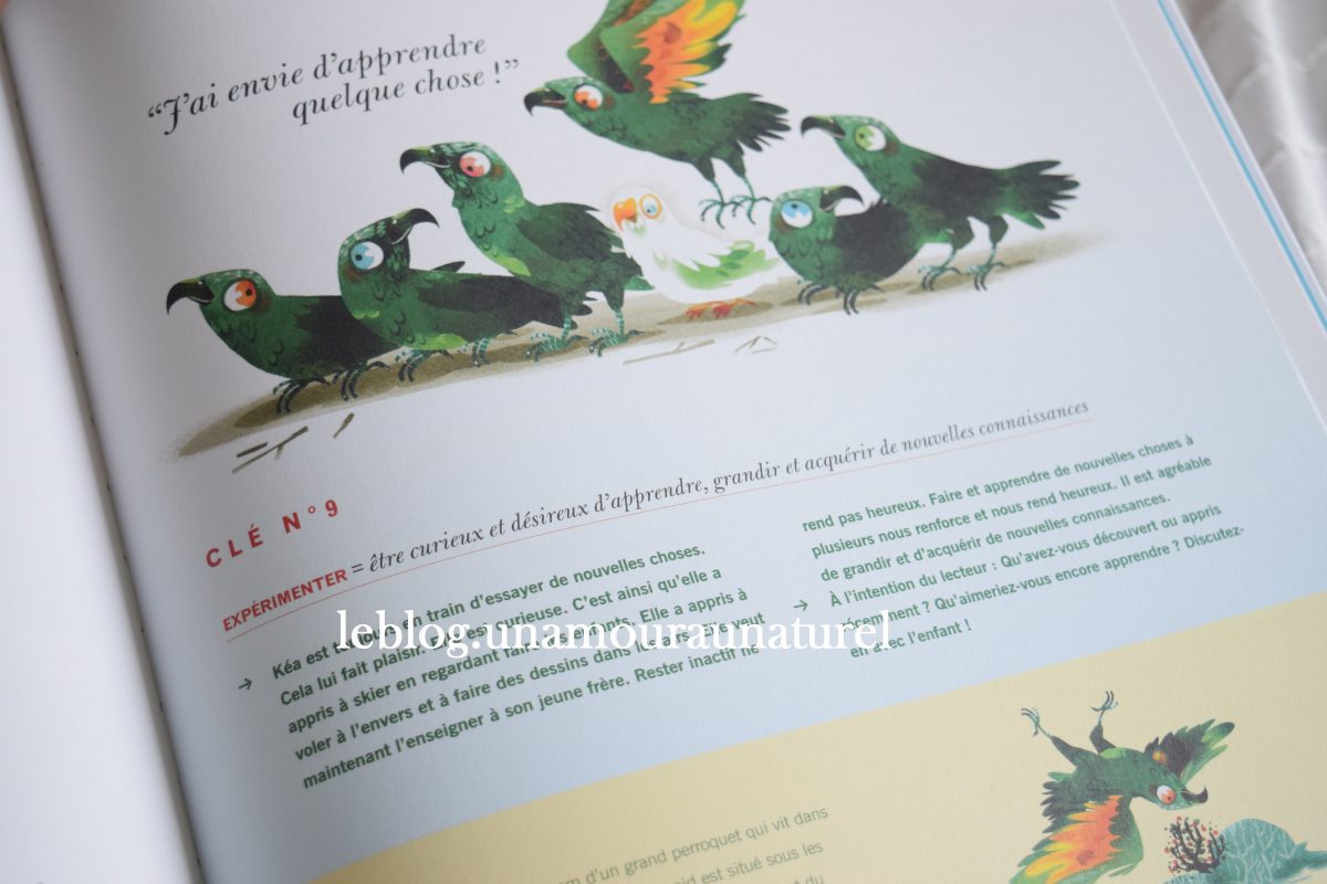 Le grand livre du bonheur pour les enfants – Le Blog un Amour au Naturel